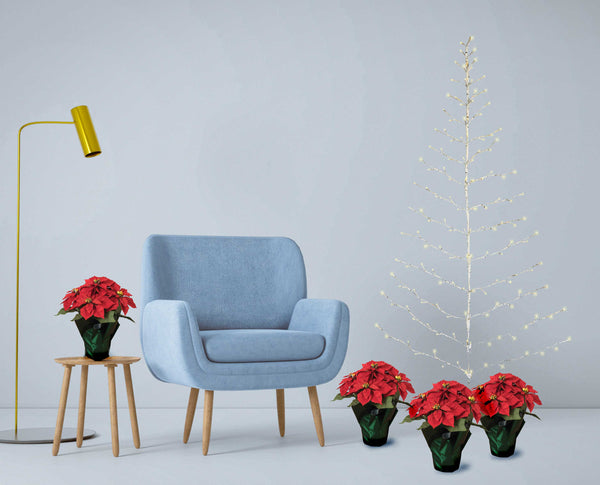 Lighted White Birch Christmas Wall Tree - Indoor/Outdoor LED 5 Foot Hi ...